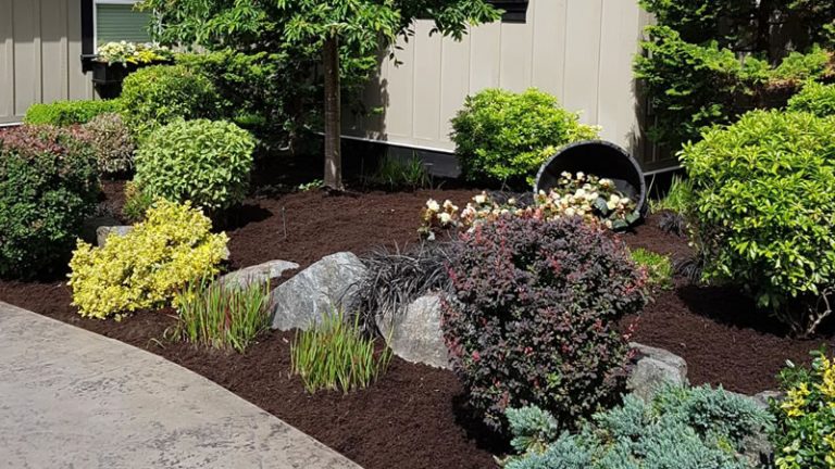 Popular Softscape Landscaping Ideas For Vancouver Homeowners